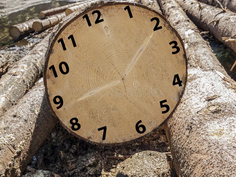 Clock Concept in Wood, Tree Trunk with Clock Stock Photo - Image of ...