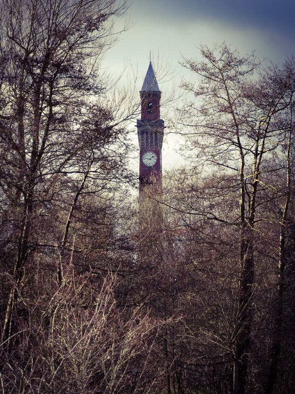 Clock Face Tower Surrounded by Dry Trees Stock Photo - Image of face ...