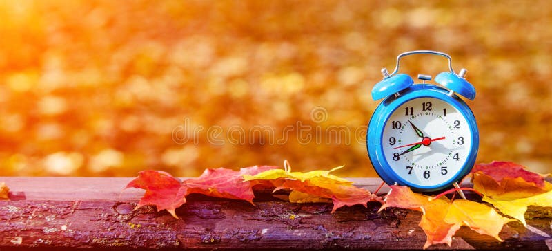 Clock with Fallen Leaves are on Bench Stock Photo - Image of watch ...