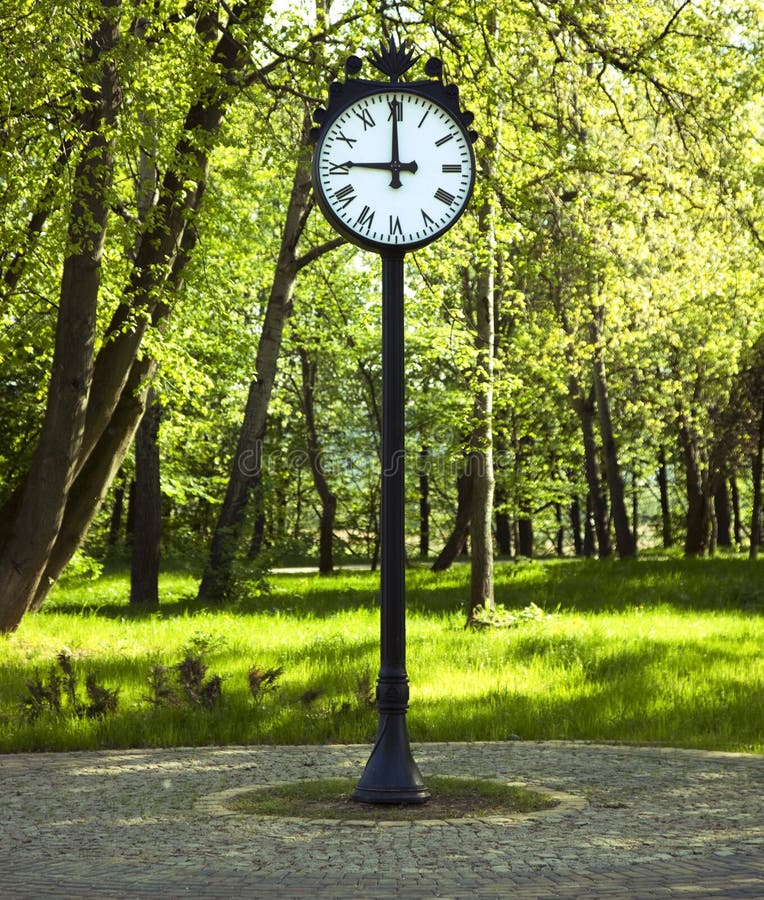 Clock in green park stock photo. Image of park, tree - 25373458