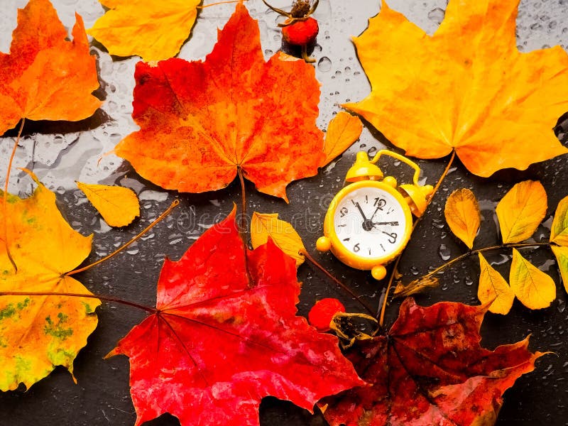 Clock with Leaves Time Change, Alarm Clock in Colorful Autumn Leaves ... Clock with Leaves Time Change, Alarm Clock in Colorful Autumn Leaves ...