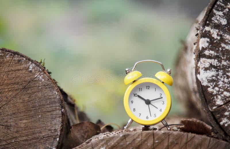 Clock in nature stock image. Image of stained, styled - 63453609