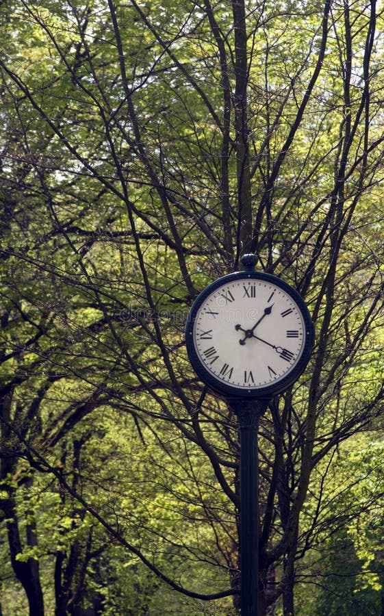 Clock in a park stock photo. Image of dial, nature, green - 2291408