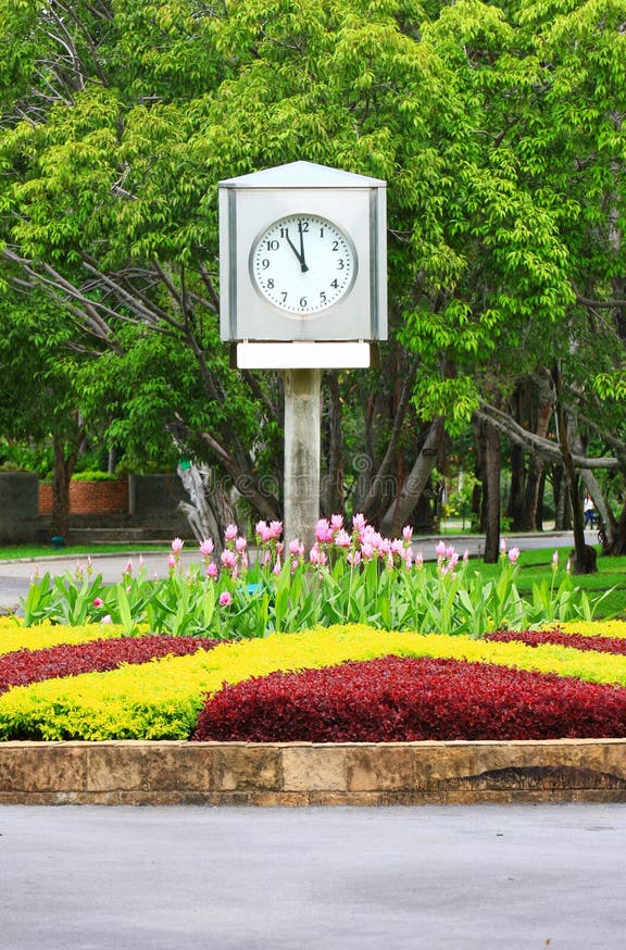 Clock in the park stock photo. Image of outdoor, tree - 26166024