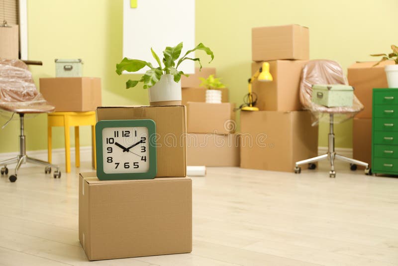 Clock and Plant on Cardboard Boxes in Office, Space for Text. Moving ...