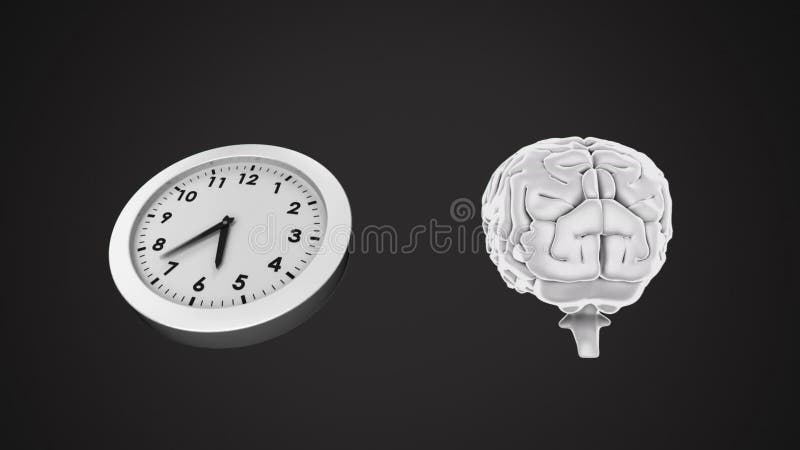 Clock Ticking and Brain Rotating Stock Video - Video of neurology, area ...