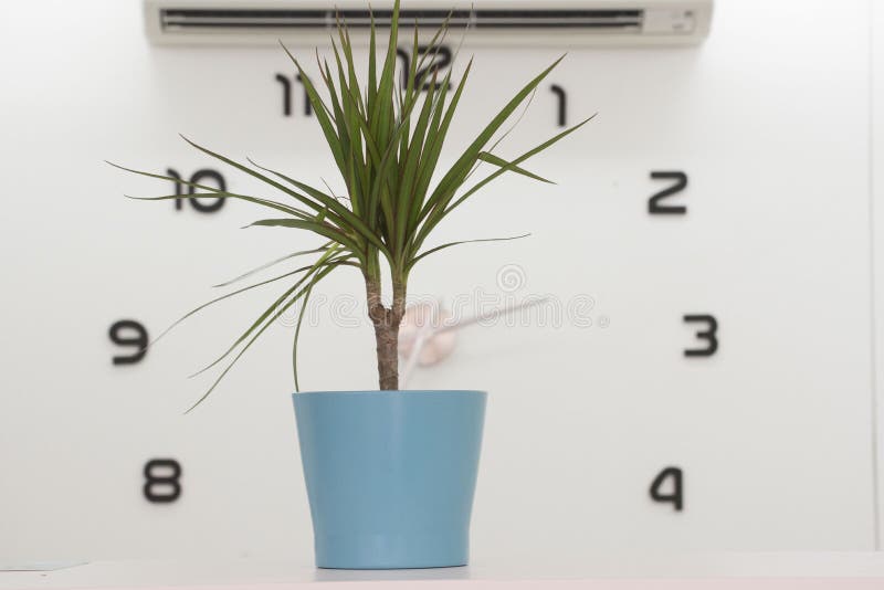 A Clock for Time Measurement Stock Image - Image of watches, measuring ...