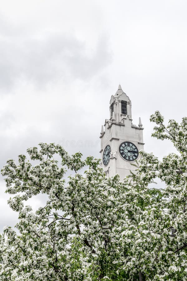 Clock Tower Behind Blooming Apple Trees Stock Photo - Image of green ...
