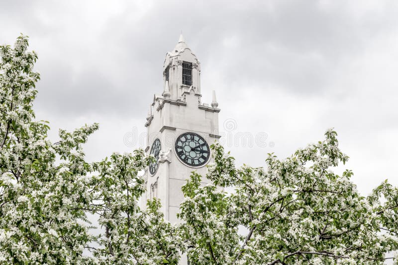 Clock Tower Behind Blooming Spring Trees Stock Image - Image of ...