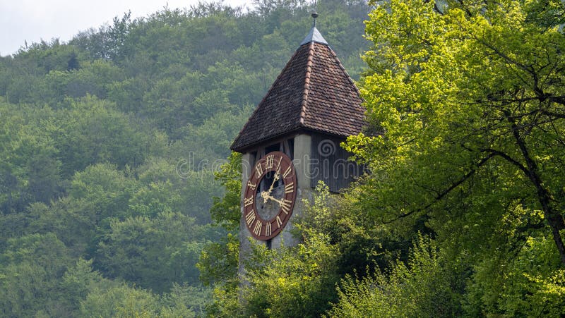 A Clock Tower in the Forest Stock Image - Image of forest, green: 246798165