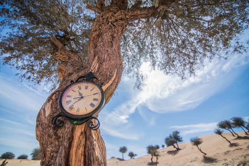Clock Tree stock image. Image of background, outdoor - 67823739