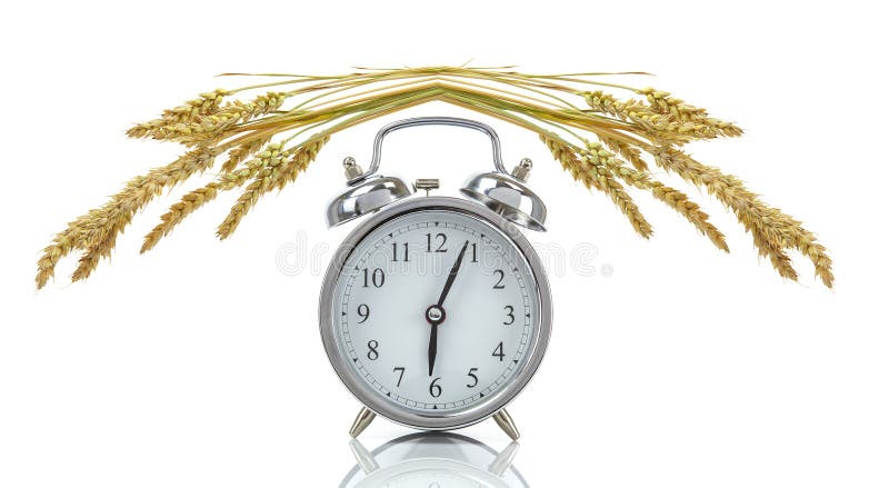 Clock with Wheat Showing Time of Harvest Stock Photo - Image of holiday ...