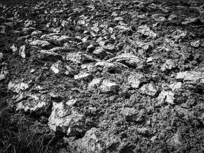 Clod of Earth stock photo. Image of earth, environment - 159765652