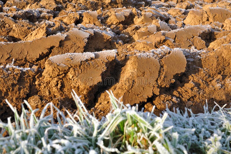 Clods covered by frost stock image. Image of earth, frozen - 36458647