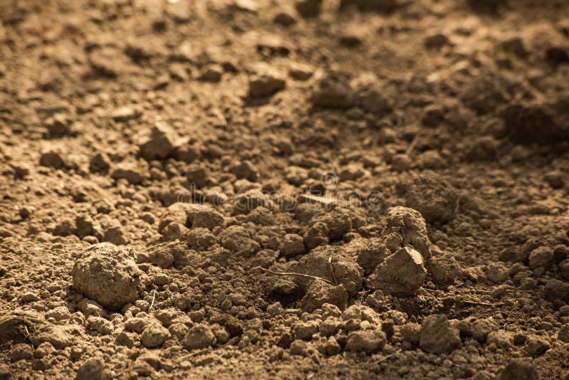 Clods of Dry Brown Ground, Soft Focus Stock Photo - Image of closeup ...