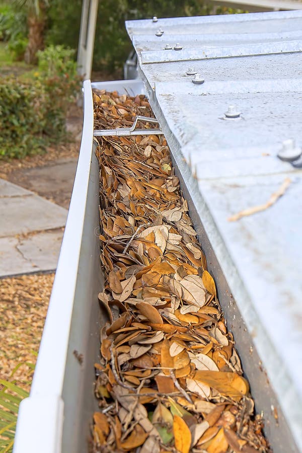 Clogged Gutters with Leaves Stock Image - Image of eavestrough, problem ...