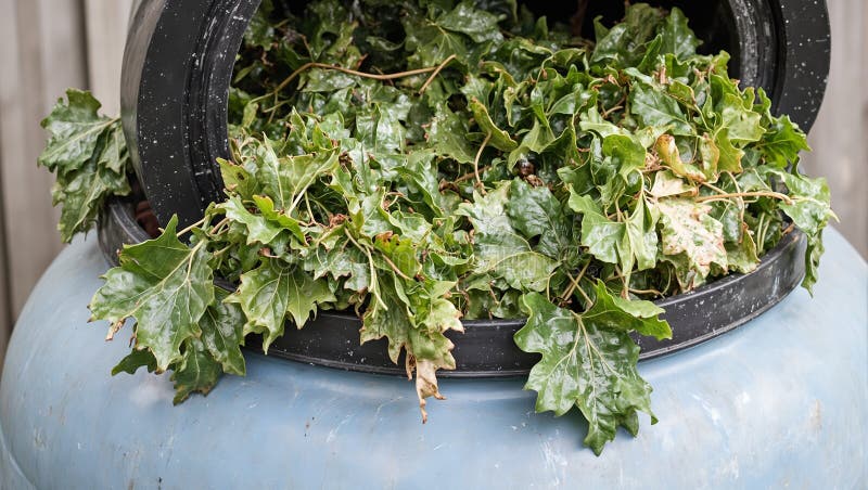 Clogged Rain Barrel Overflow with Damp Leaves Stock Illustration ...