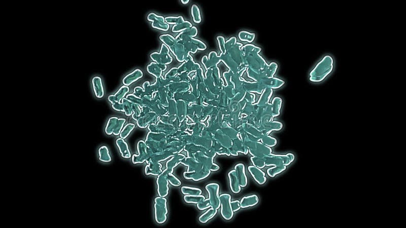 Bacteria Animation stock video. Video of organic, forms - 350069429