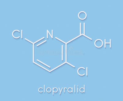 Clopyralid Herbicide Molecule. Skeletal Formula. Stock Illustration ...