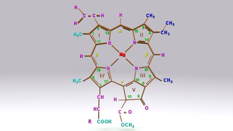Molécula De La Clorofila Con Fórmula Química Stock de ilustración ...