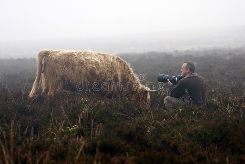 Long Sigma Hair Stock Photos - Free & Royalty-Free Stock Photos from ...