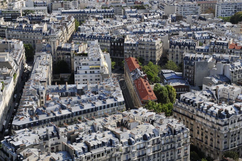 Close Eye on Paris Old City Block Stock Image - Image of bird, city ...