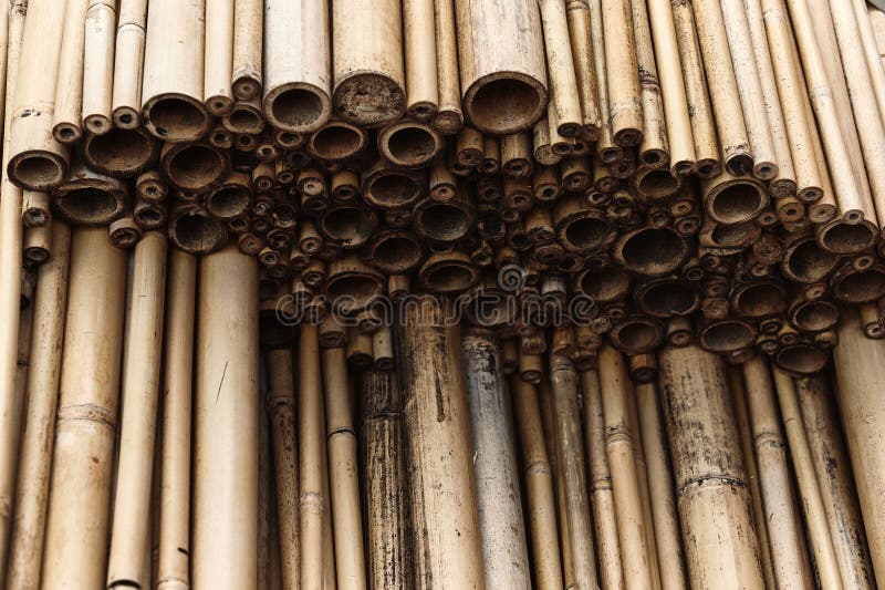 A Close Image of a Slice of Dry Bamboo, Texture, Wallpaper. Stock Photo ...