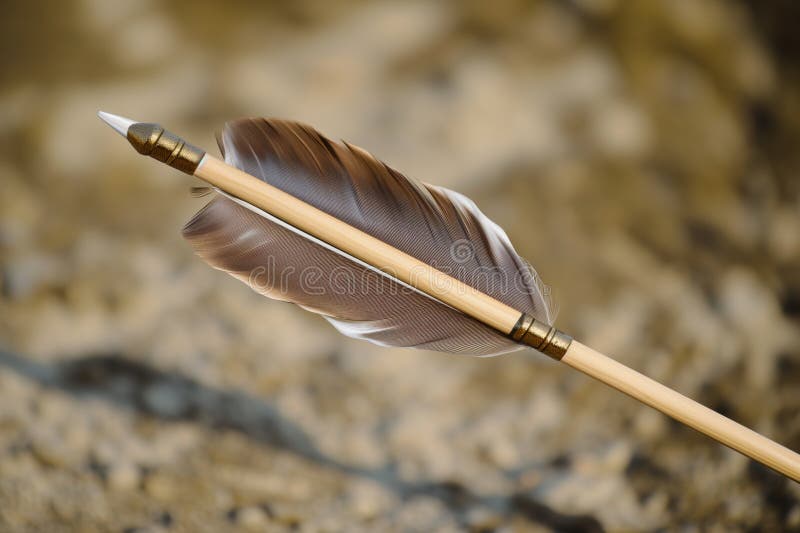 Close Look at Feathered Arrow Ready To Shoot Stock Photo - Image of ...