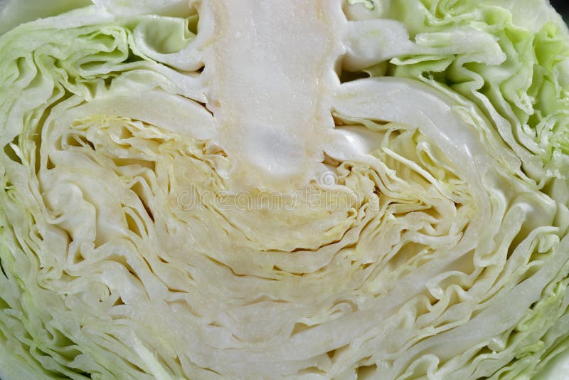 Close Look Inside of a Chopped Piece of a Cabbage Stock Photo - Image ...