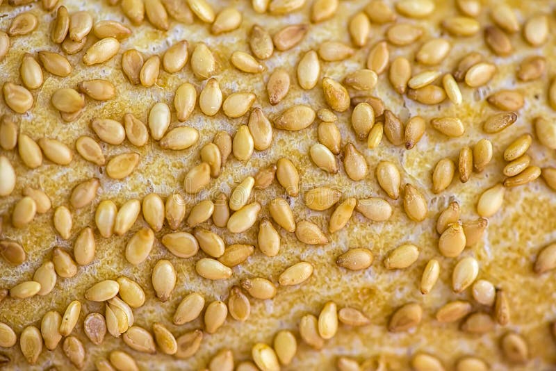 Close Macro Sesame on the Loaf of Bread Stock Image - Image of bake ...