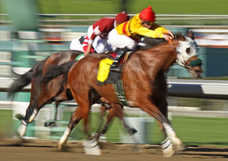 Close Race Down the Homestretch Editorial Stock Photo - Image of action ...