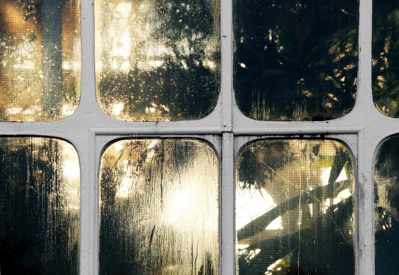 Close Range of a Greenhouse with a White Metal Window Frame and a ...