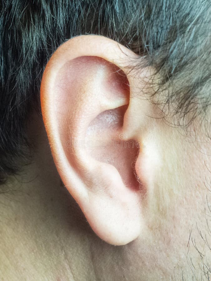 At Close Range Vertical Photo of the Ear of a White Man Stock Image ...