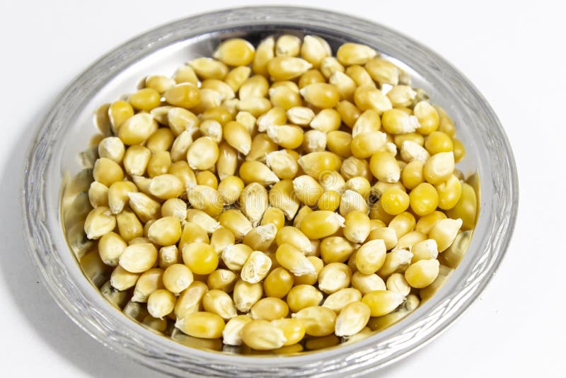 Close Shoot of Multiple Corn Seeds in the Metal Reflective Cup Stock ...