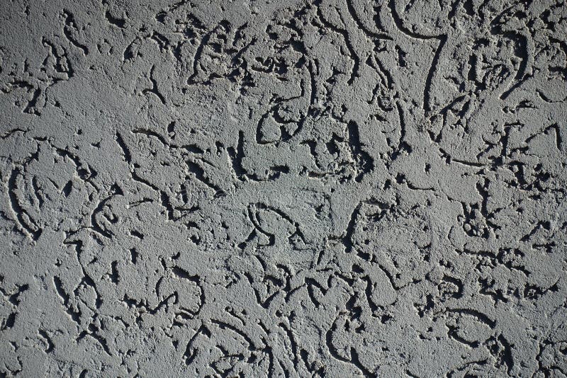 Close Shot of Gray Wall with Stucco Worm Finish Stock Image - Image of ...