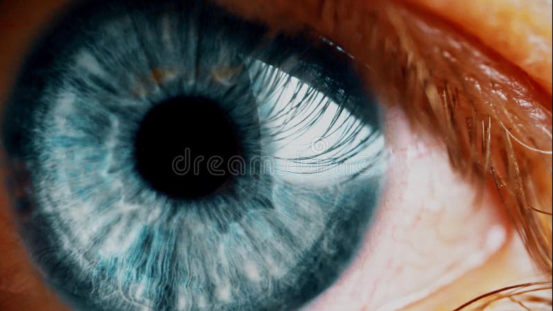 The eye of a man stock photo. Image of optical, beauty - 196211618