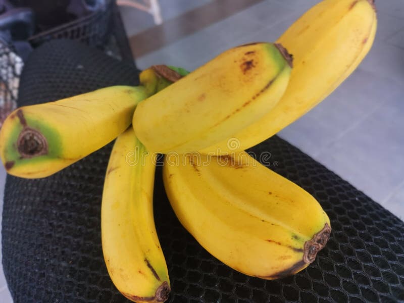 Two Piece of Cavendish Banana in a Single Finger. Stock Photo - Image ...