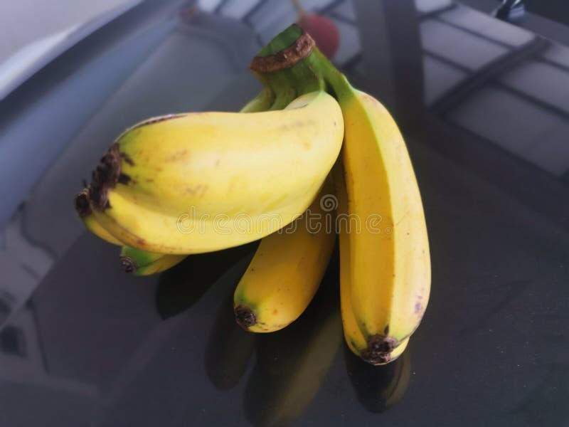 Two Piece of Cavendish Banana in a Single Finger. Stock Image - Image ...