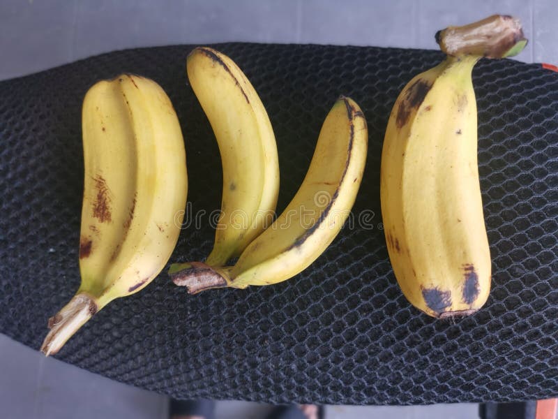Two Piece of Cavendish Banana in a Single Finger. Stock Photo - Image ...