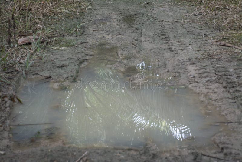 Close Shot of the Muddy Puddle Stock Image - Image of pond, outdoor ...