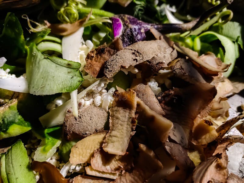 This is the Close Shot of the Vegetable Peel in a Indian Kitchen Stock ...