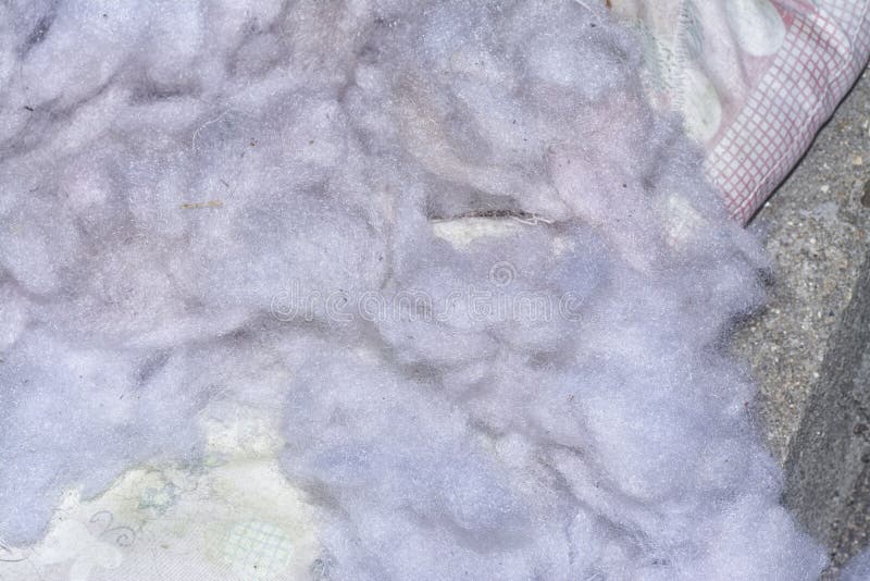 Close Shot of the White Cotton Fiber Stock Photo - Image of dirty ...