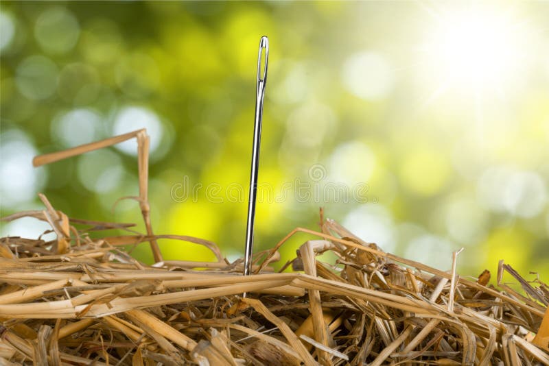 Needle in a Haystack stock image. Image of haystack, hard - 59995865
