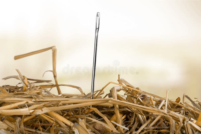 Needle in a Haystack stock image. Image of haystack, hard - 59995865
