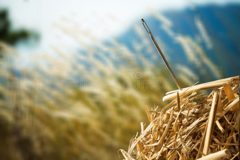 Needle in a Haystack stock image. Image of haystack, hard - 59995865