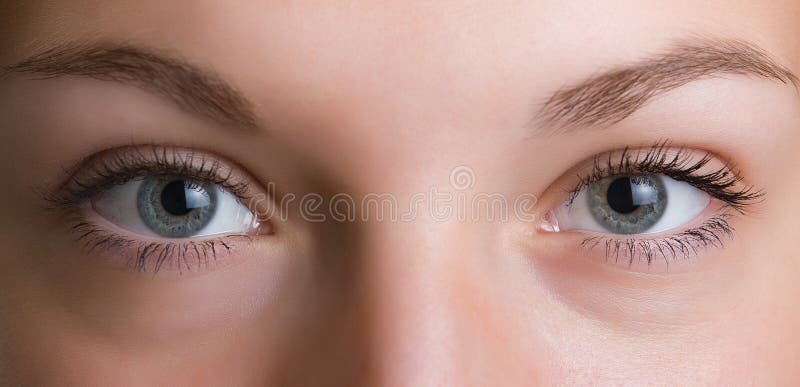 Close-up fresh face stock photo. Image of fresh, beautiful - 10043976