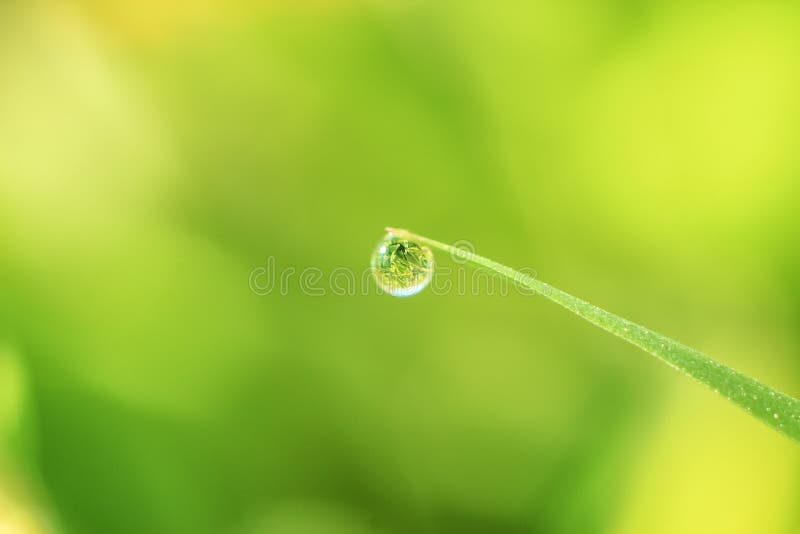 Close-up of Abstract Dew Drops on Grass with Variable Focus Stock Image ...