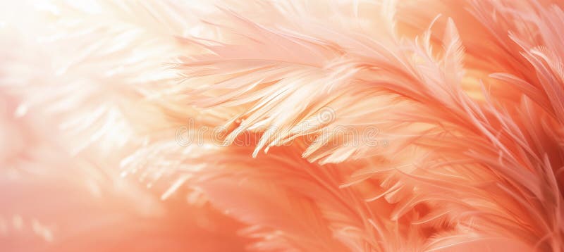 Close-up Abstract Macro of Trendy Peach Feather Texture, Apricot Fluffy ...