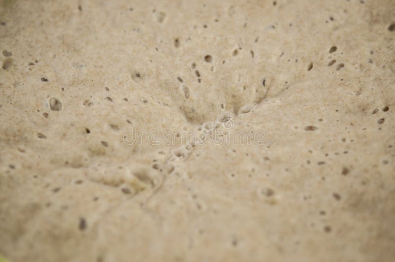 Bread Starter. Close Up Shot of Bread Dough Texture. Air Bubbles from ...
