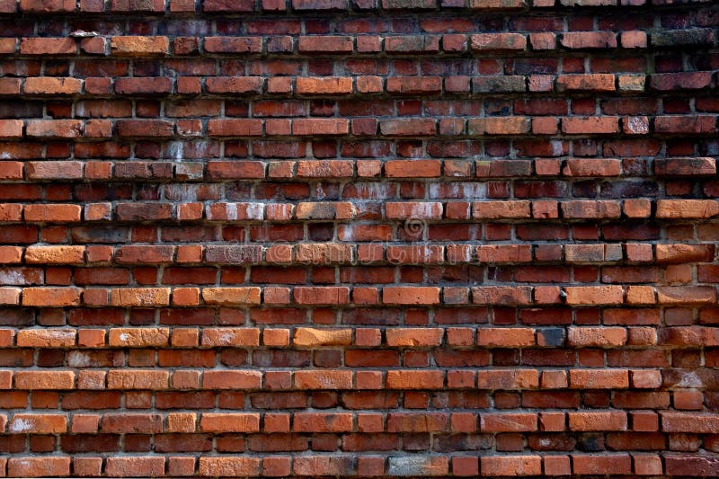 Close-up of an Aged Red Brick Wall with Dark Mortar and Weathered ...